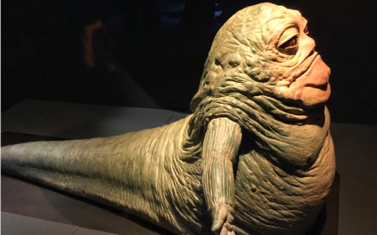 Unveiling the Mysterious Reproduction of Hutts - Homeostasis Lab