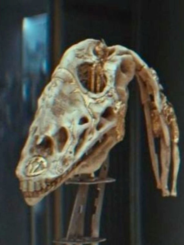 What Happened to Jar Jar Binks After Order 66? - May 4 Be With You