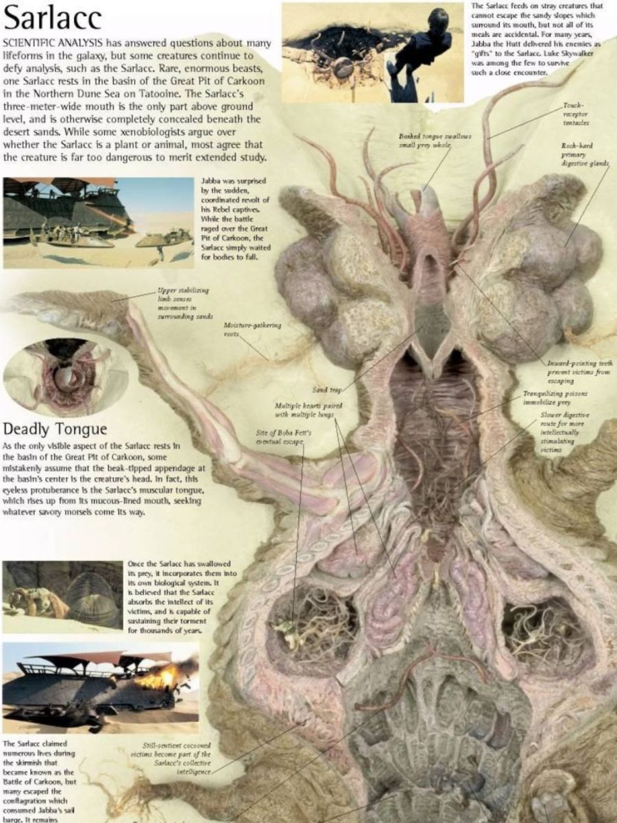 Inside the Sarlacc: 17 Details That Prove It’s Worse Than You Imagined ...