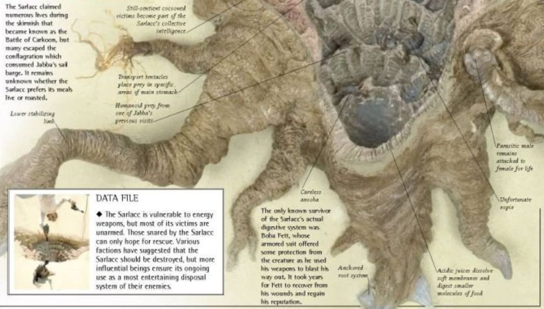 Inside the Sarlacc: 17 Details That Prove It’s Worse Than You Imagined ...